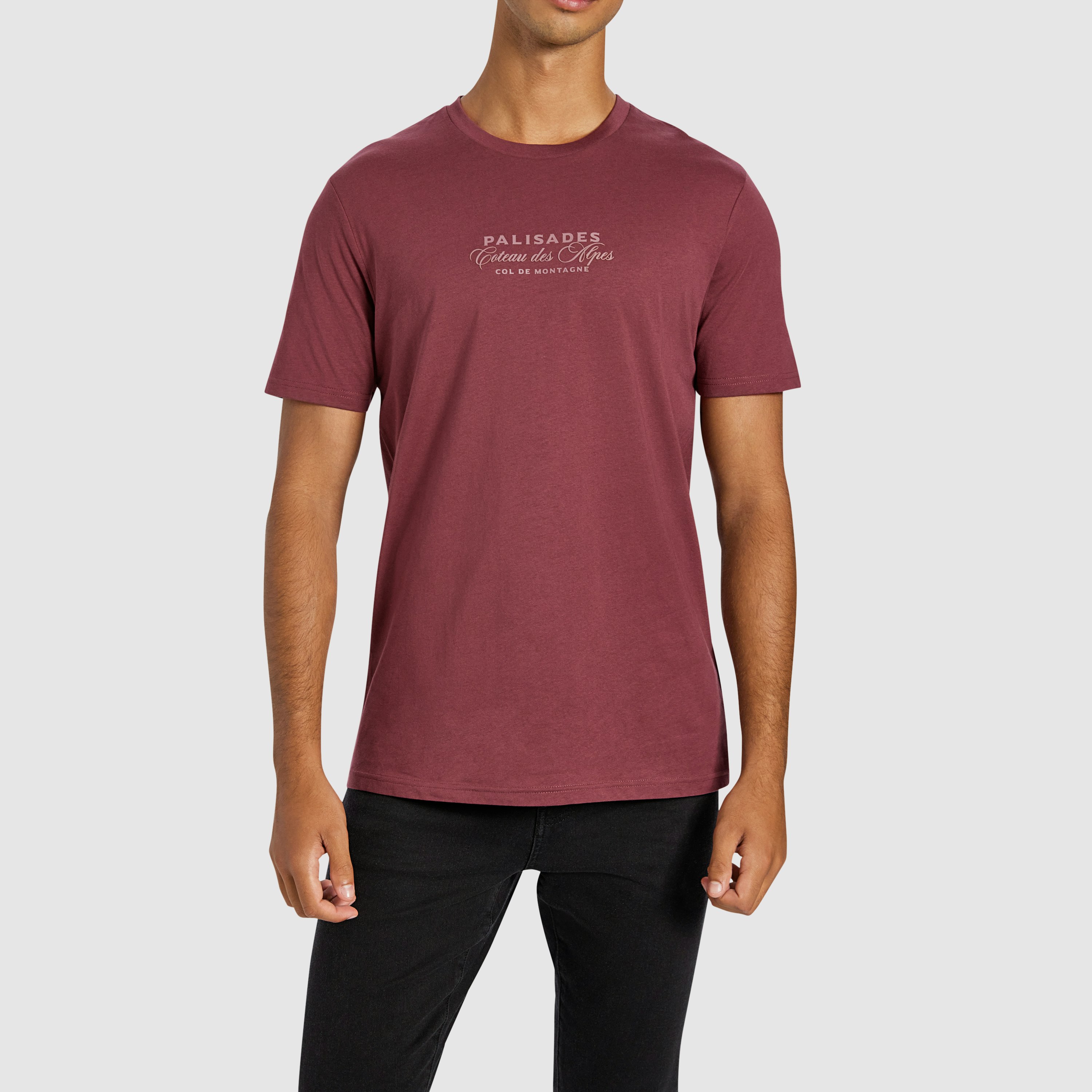 Berry Palmer Graphic Crew Neck Tee | Men's Tops | Connor AU